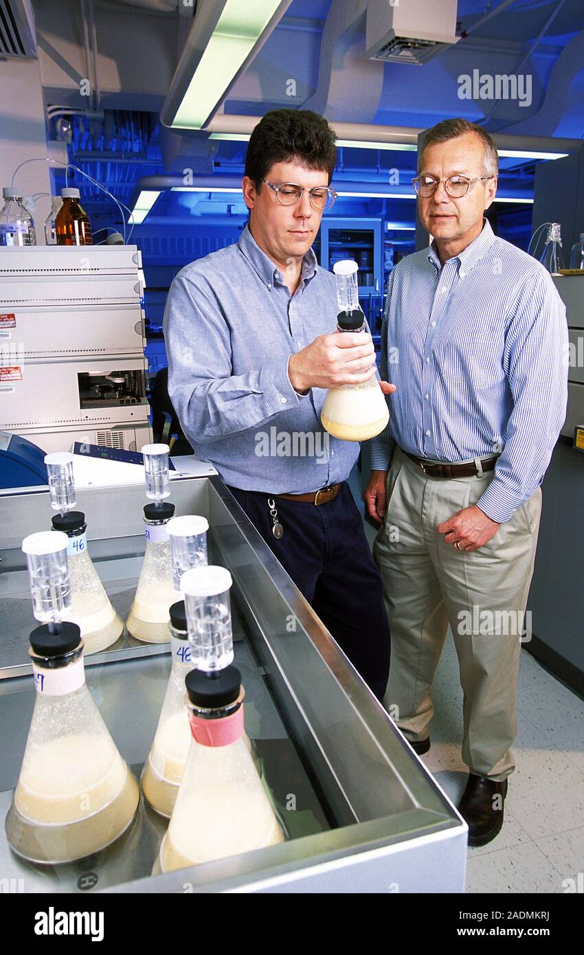 EDITORIAL USE ONLY. Biofuel research. Researchers examining samples of ...
