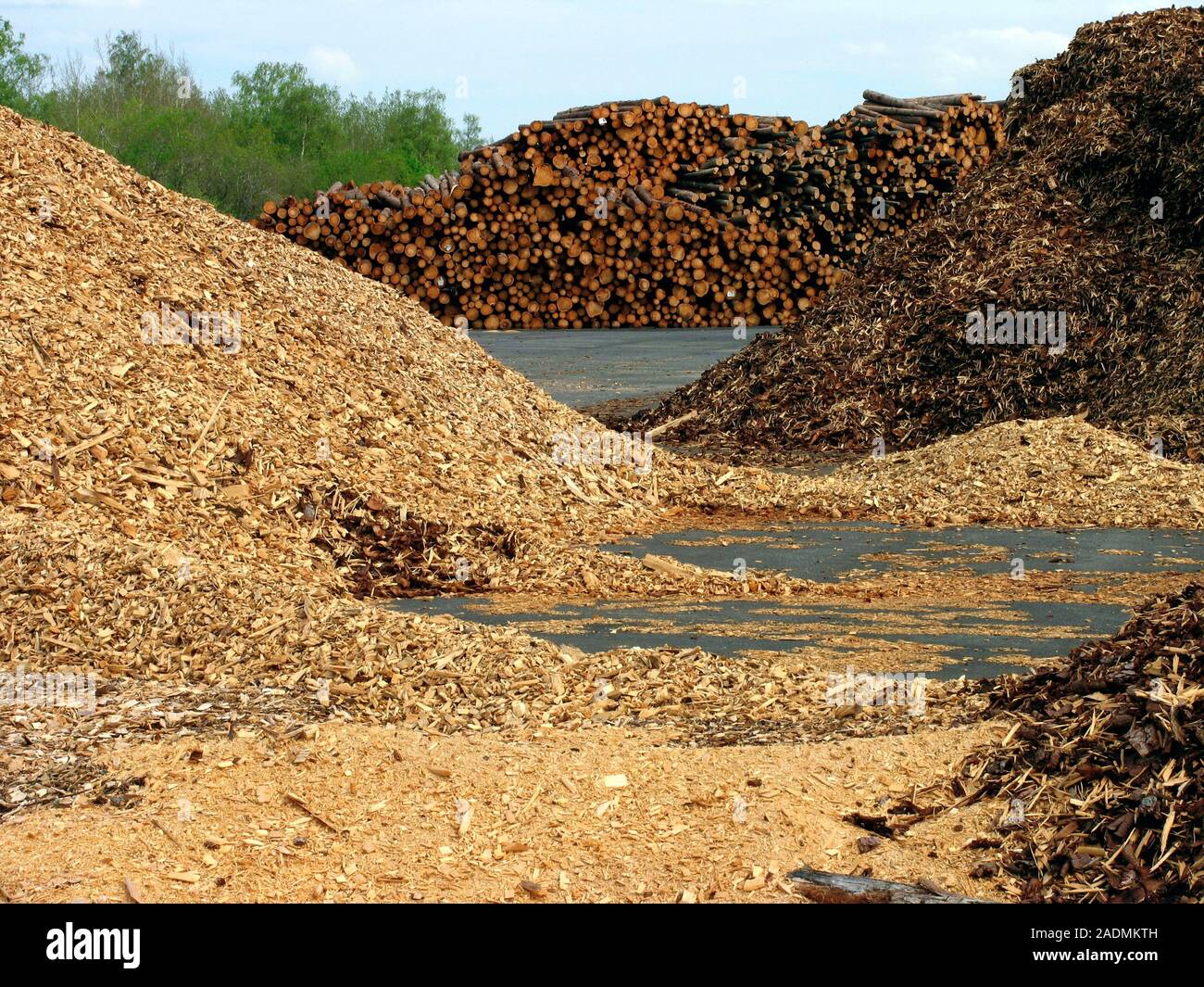 Biomass power plant. Piles of timber and wood chips at a wood-fuelled ...