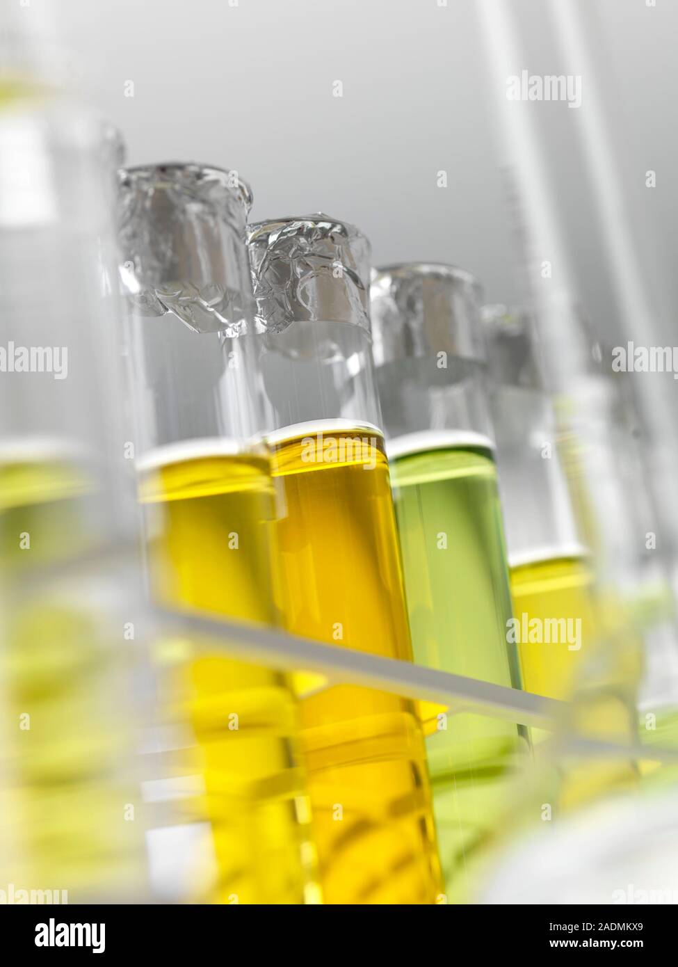 Biofuel research. Test tubes containing a range of different biofuels ...