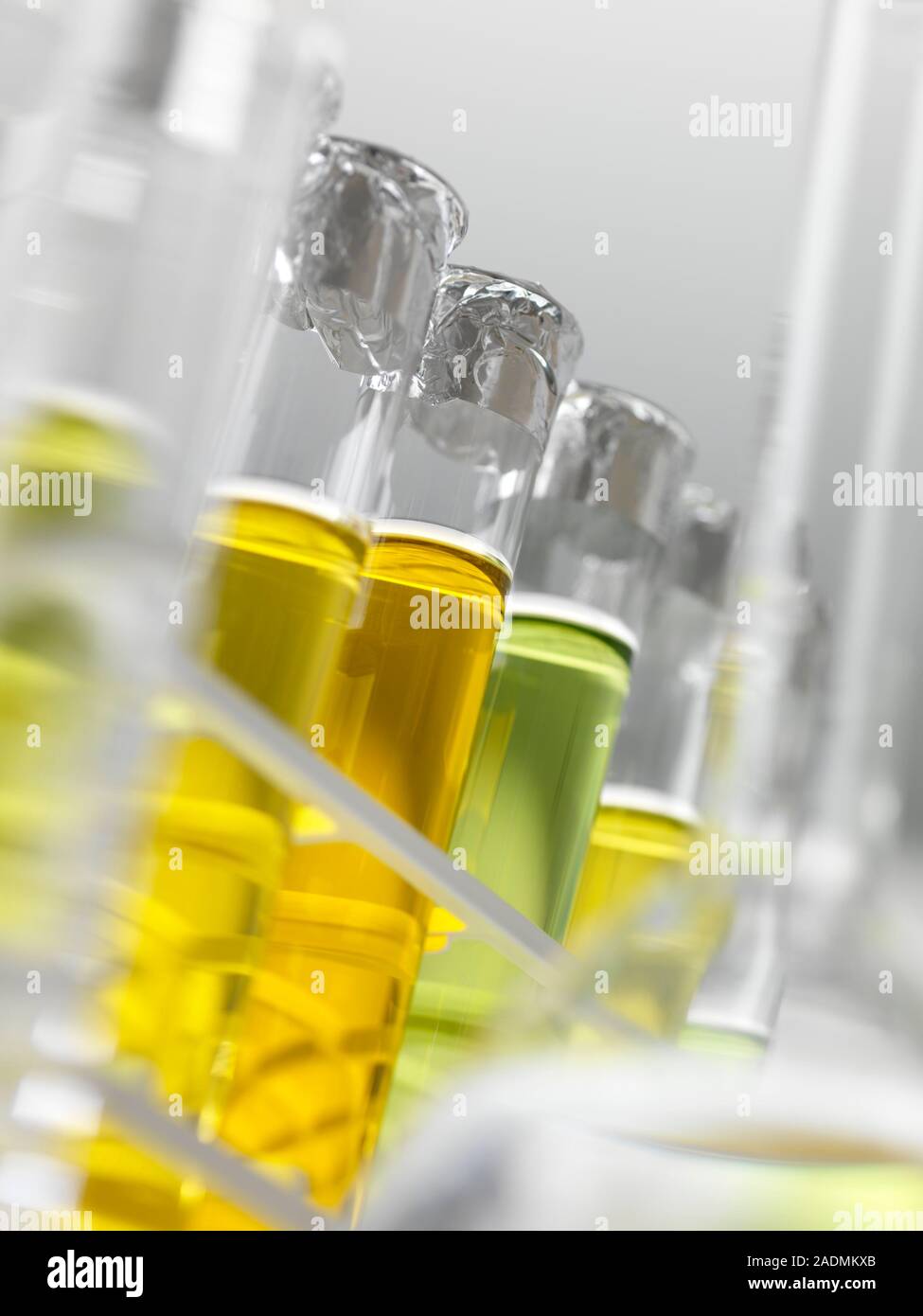 Biofuel research. Test tubes containing a range of different biofuels ...