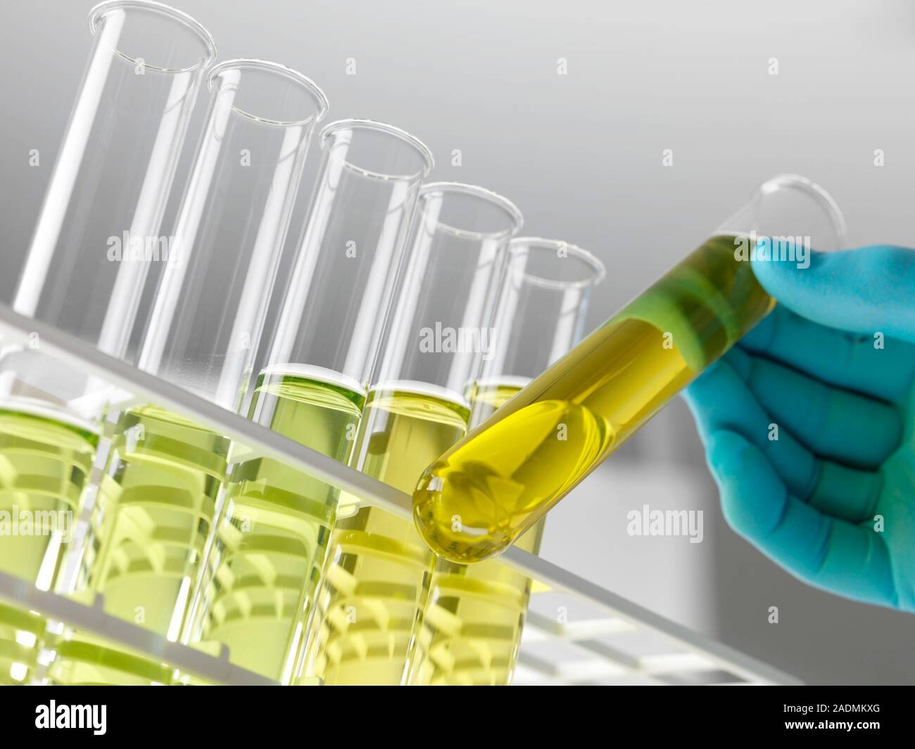 Biofuel research. Scientist selecting from test tubes containing a ...