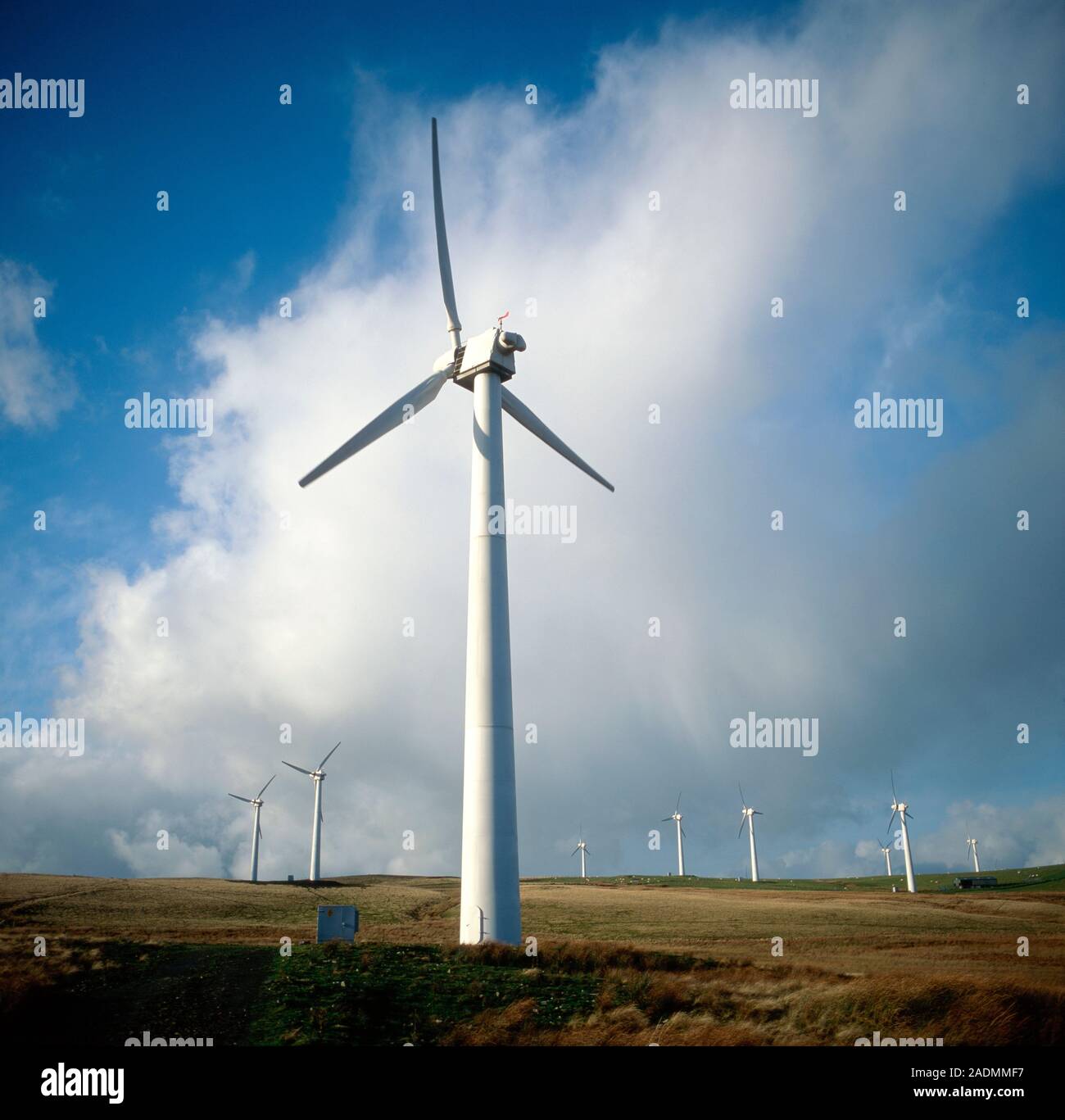 Wind turbine. Wind turbines at Llandinam Wind Farm, Powys, Wales Stock ...