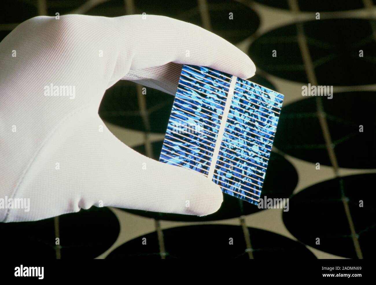 Technician holding a polycrystalline silicon solar cell. The first ...