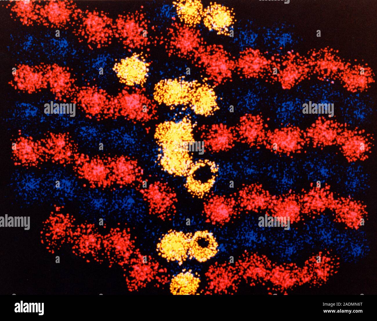 Solar cell surface. Coloured scanning tunnelling micrograph (STM ...