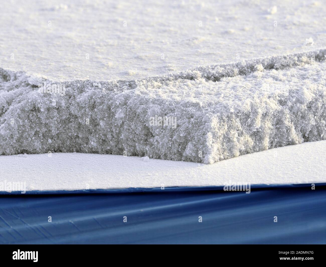 Coated solar cell. Coloured scanning electron micrograph (SEM) of a ...