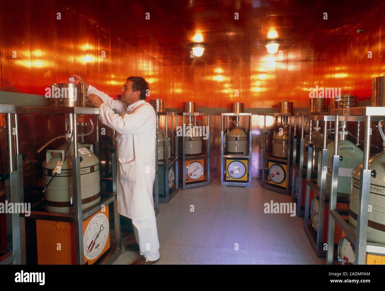 Radiation testing. Technician closing the sample chamber of a gamma ...
