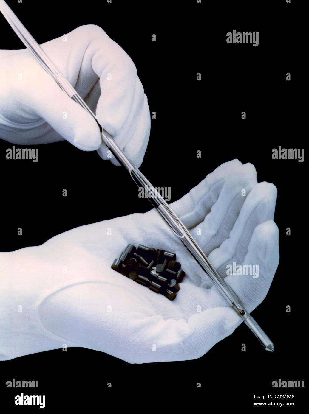 Nuclear fuel pellets. Gloved hands holding life- sized models of ...