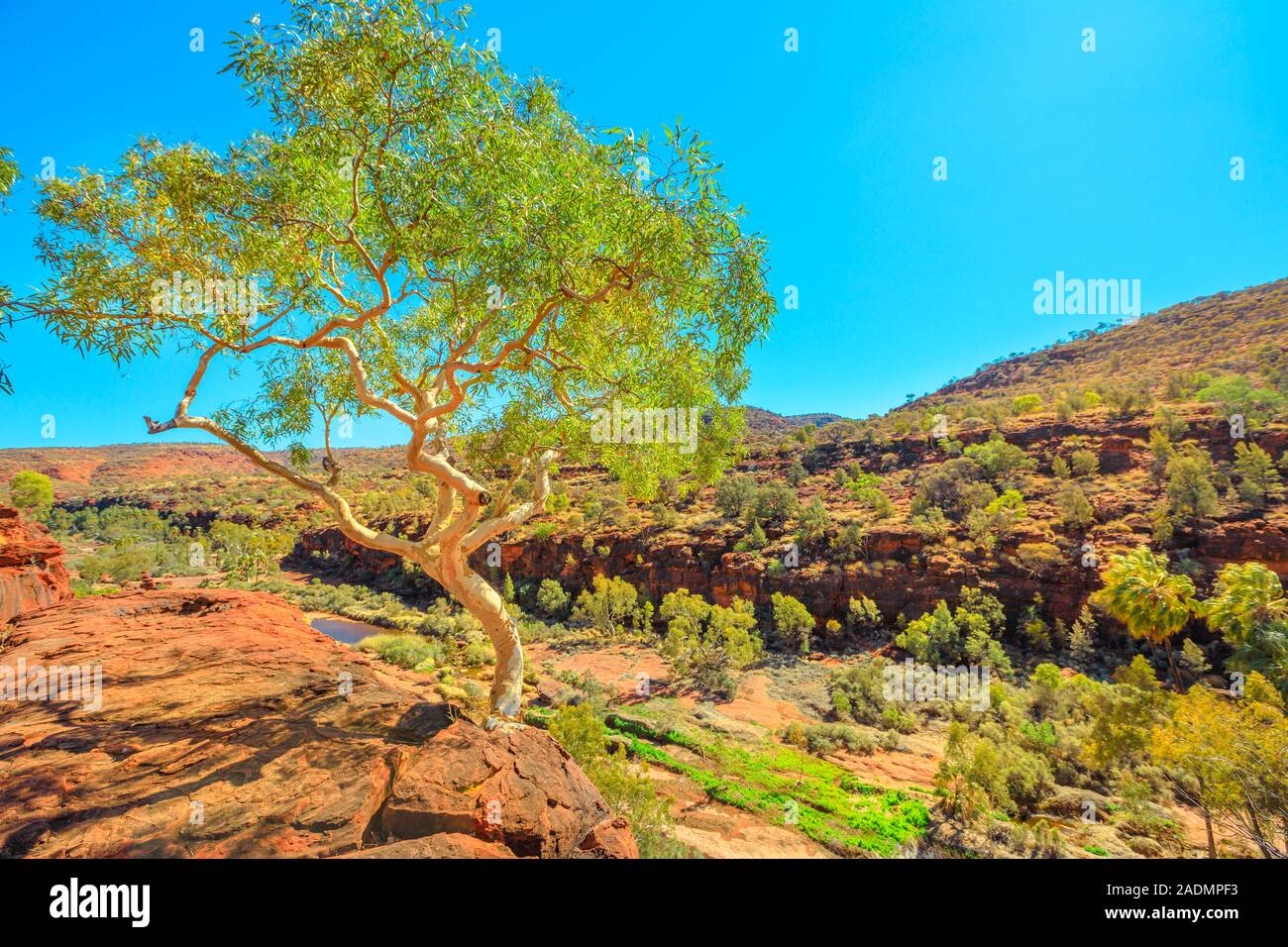 Finke Gorge National Park in Northern Territory, Central Australia ...