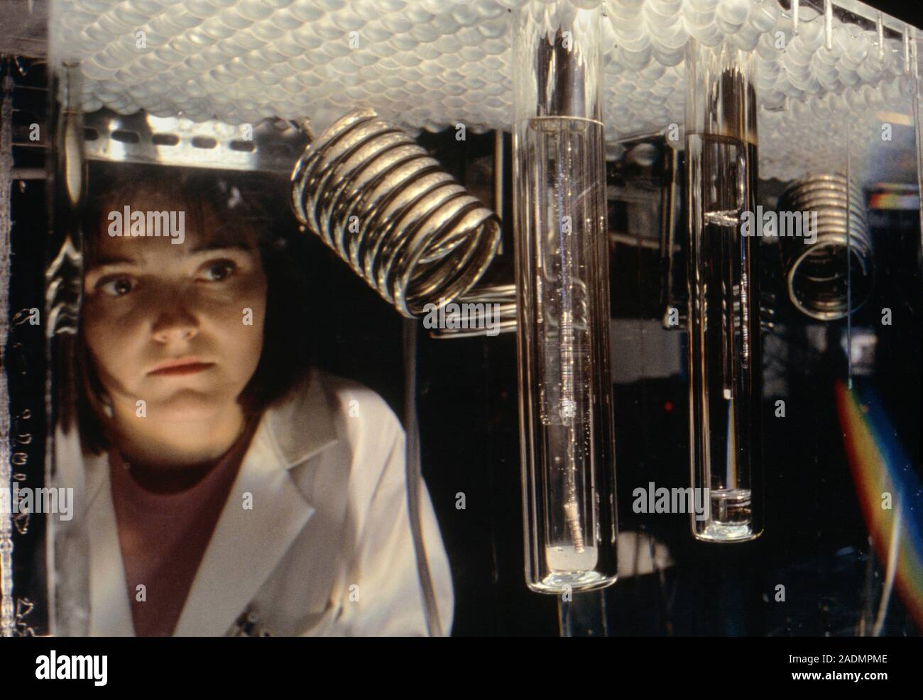 Electrolysis cells in a large water bath during experiments in 'cold ...