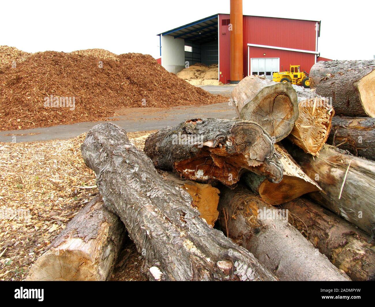 Biomass Fuelled Power Plant
