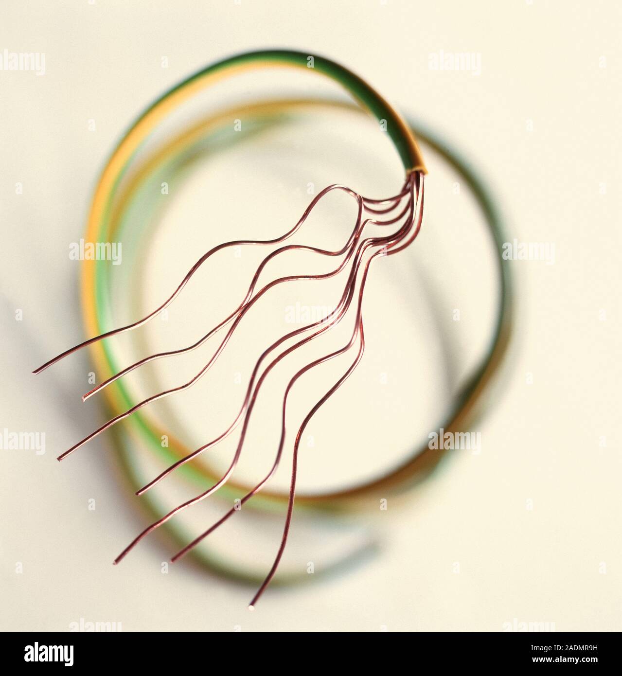 Electrical wire with a frayed end. The metal wire is insulated by a ...