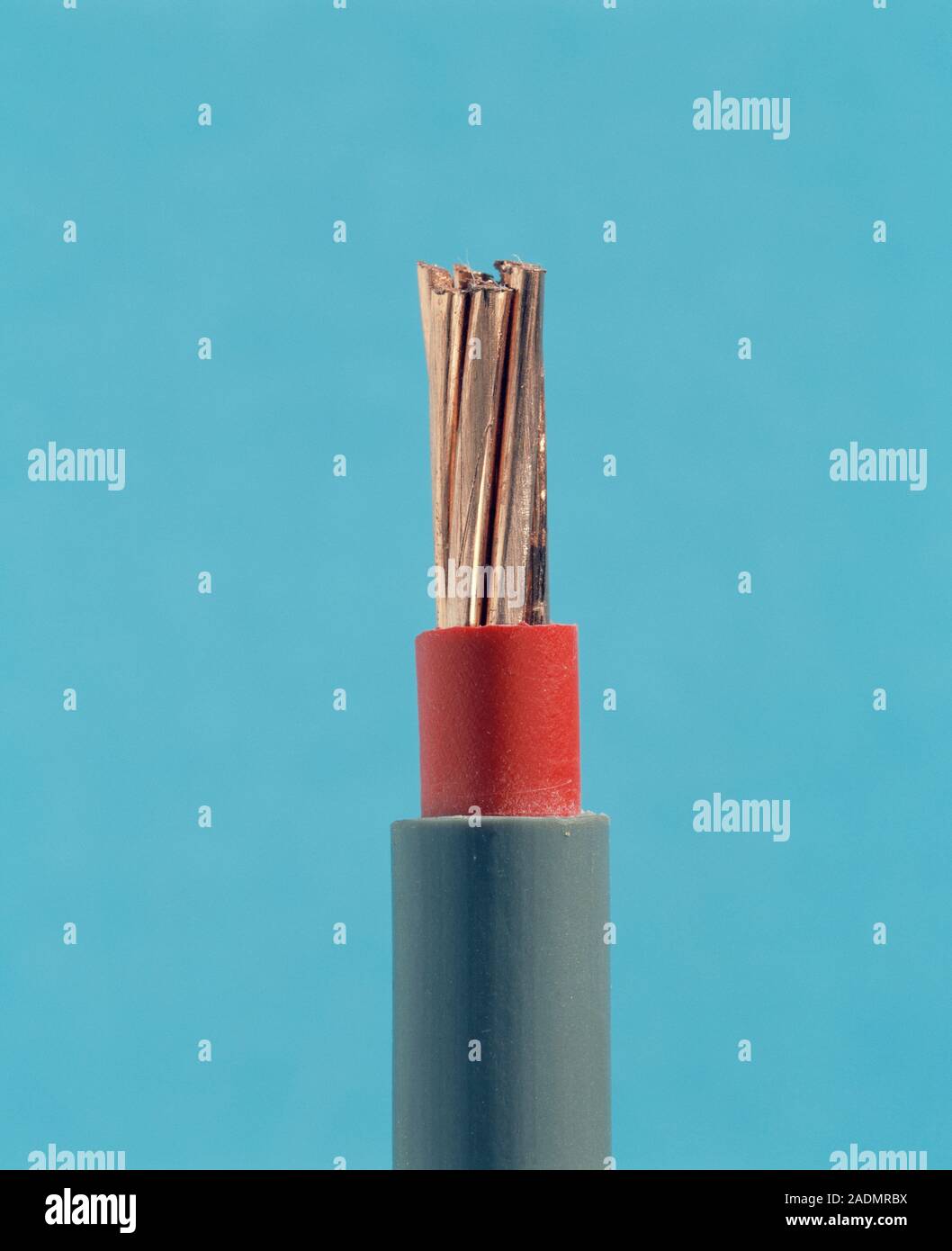 Electrical cable. Cutaway end of a heavy duty, single-core electrical ...