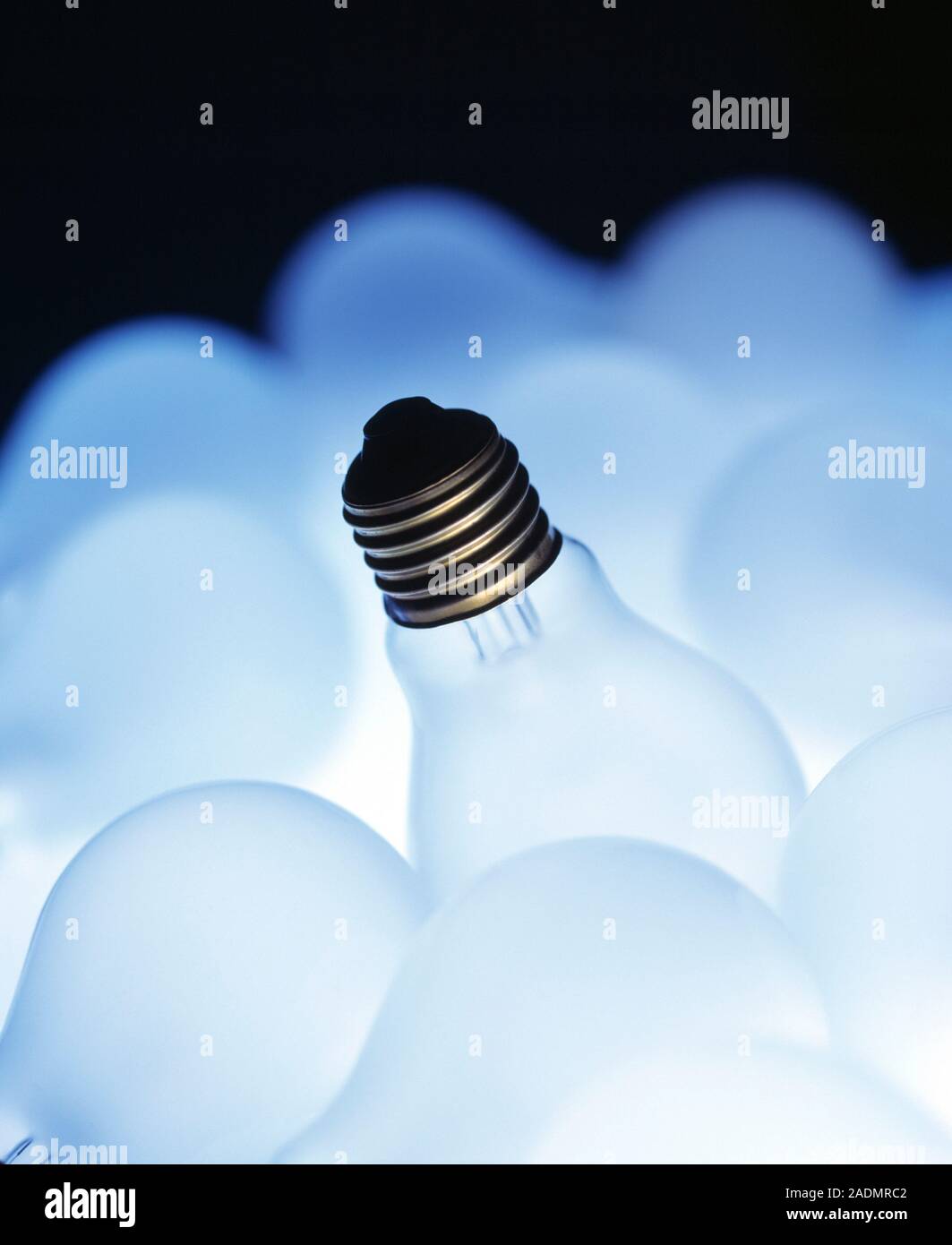 Electric light bulbs with a screw fitting Stock Photo - Alamy