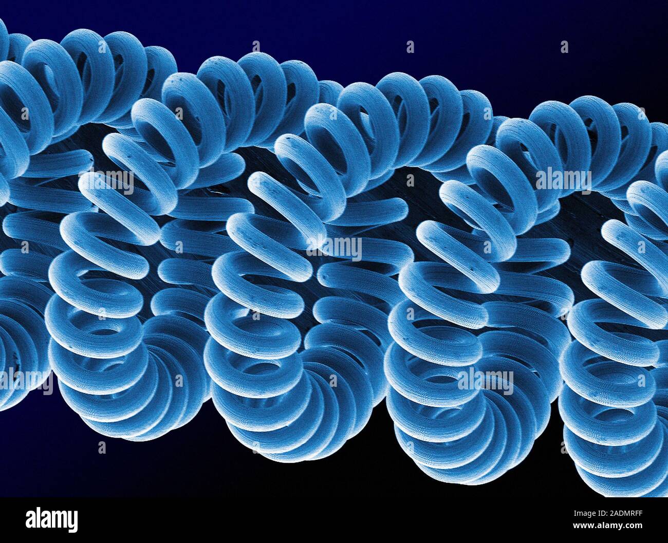 Light bulb filament, coloured scanning electron micrograph (SEM). The ...
