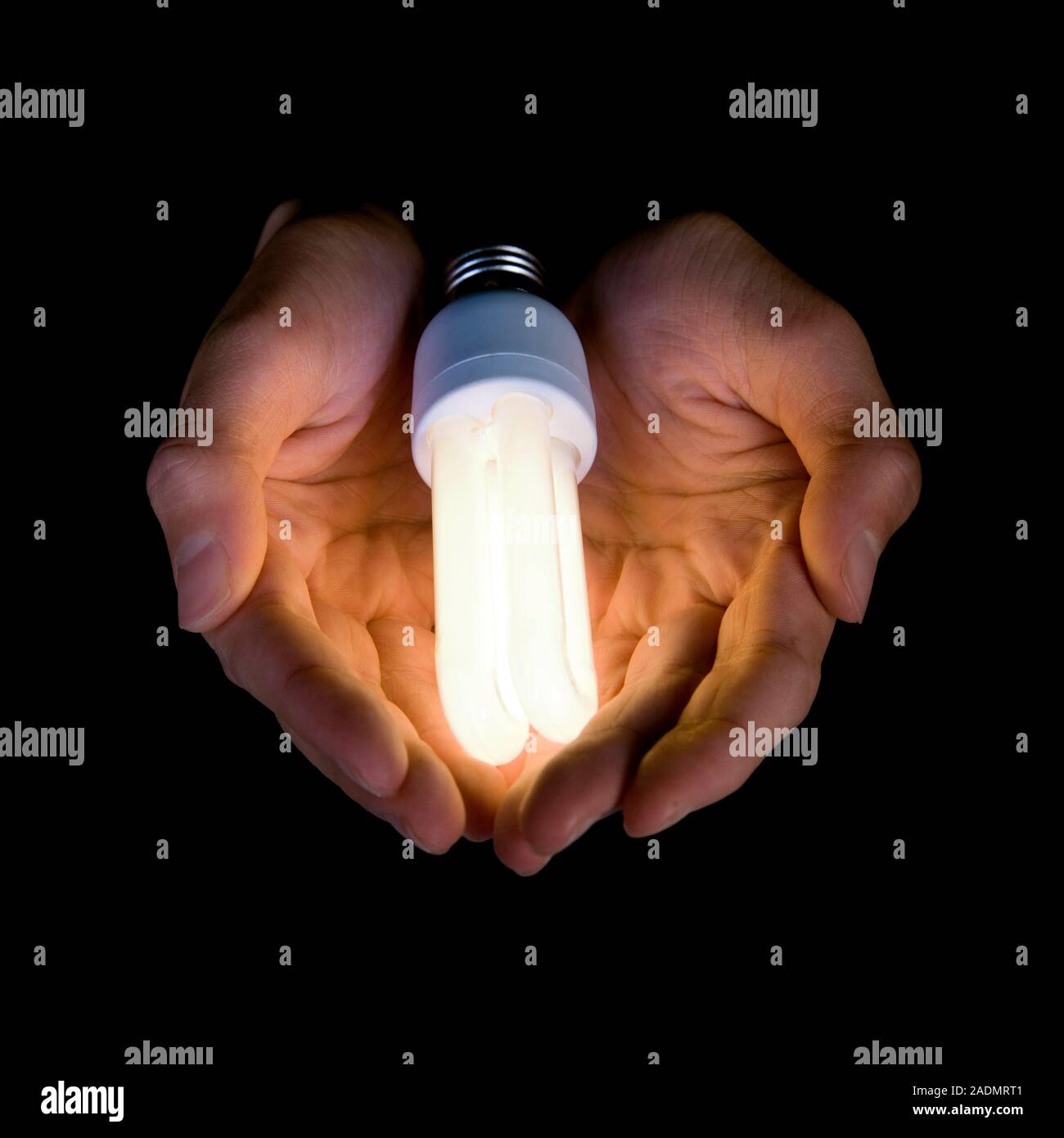 Energy efficient light bulb Stock Photo - Alamy
