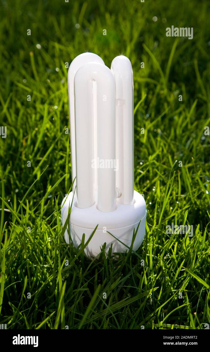 Energy efficient light bulb Stock Photo - Alamy