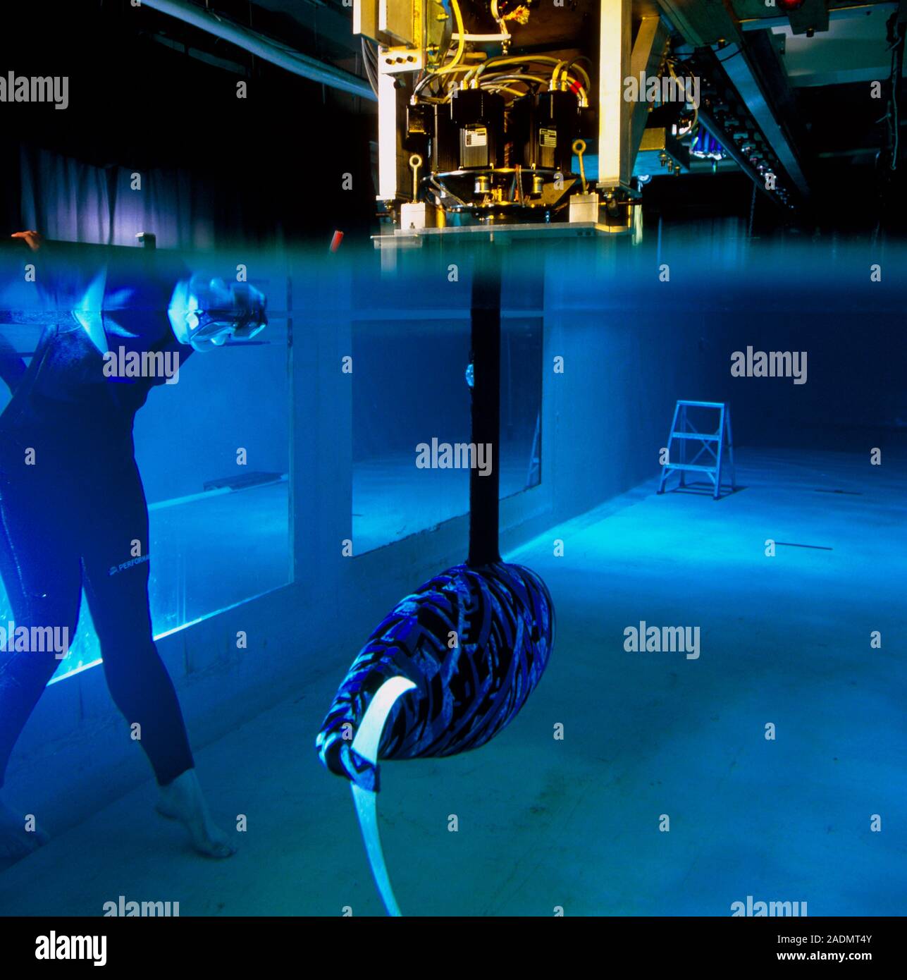 Fish robot. Diver with a robotic tuna fish in a tank of water. The ...