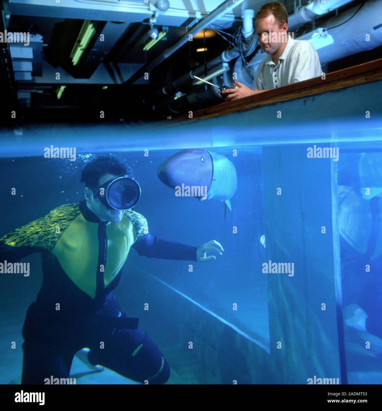 First free-swimming robot fish. Researcher John Kumph in a water tank ...