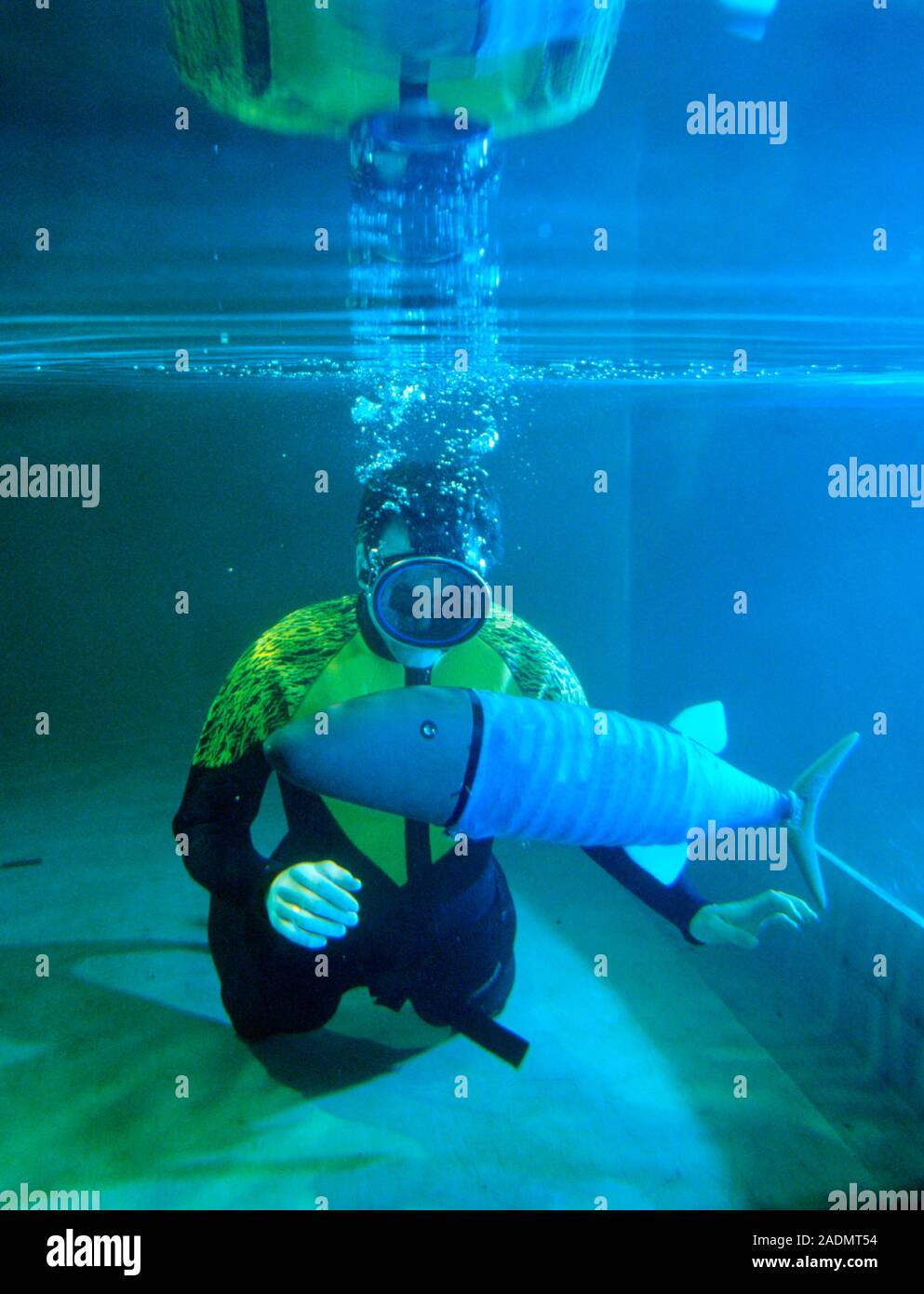 First free-swimming robot fish. Researcher John Kumph in a water tank ...