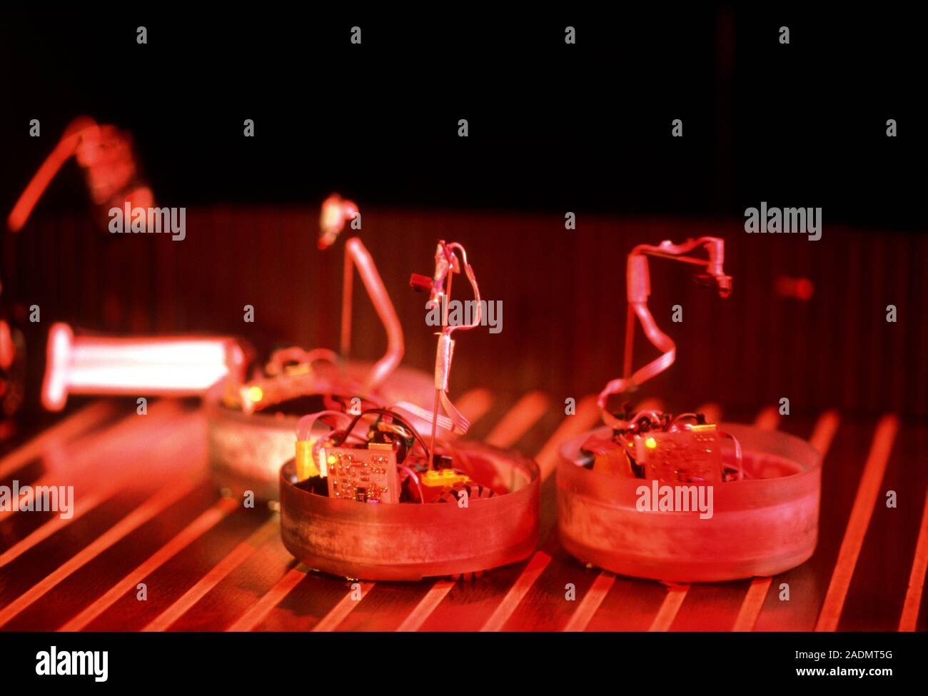 Evolving robots. Group of evolving Tupperbot robots. These infrared ...