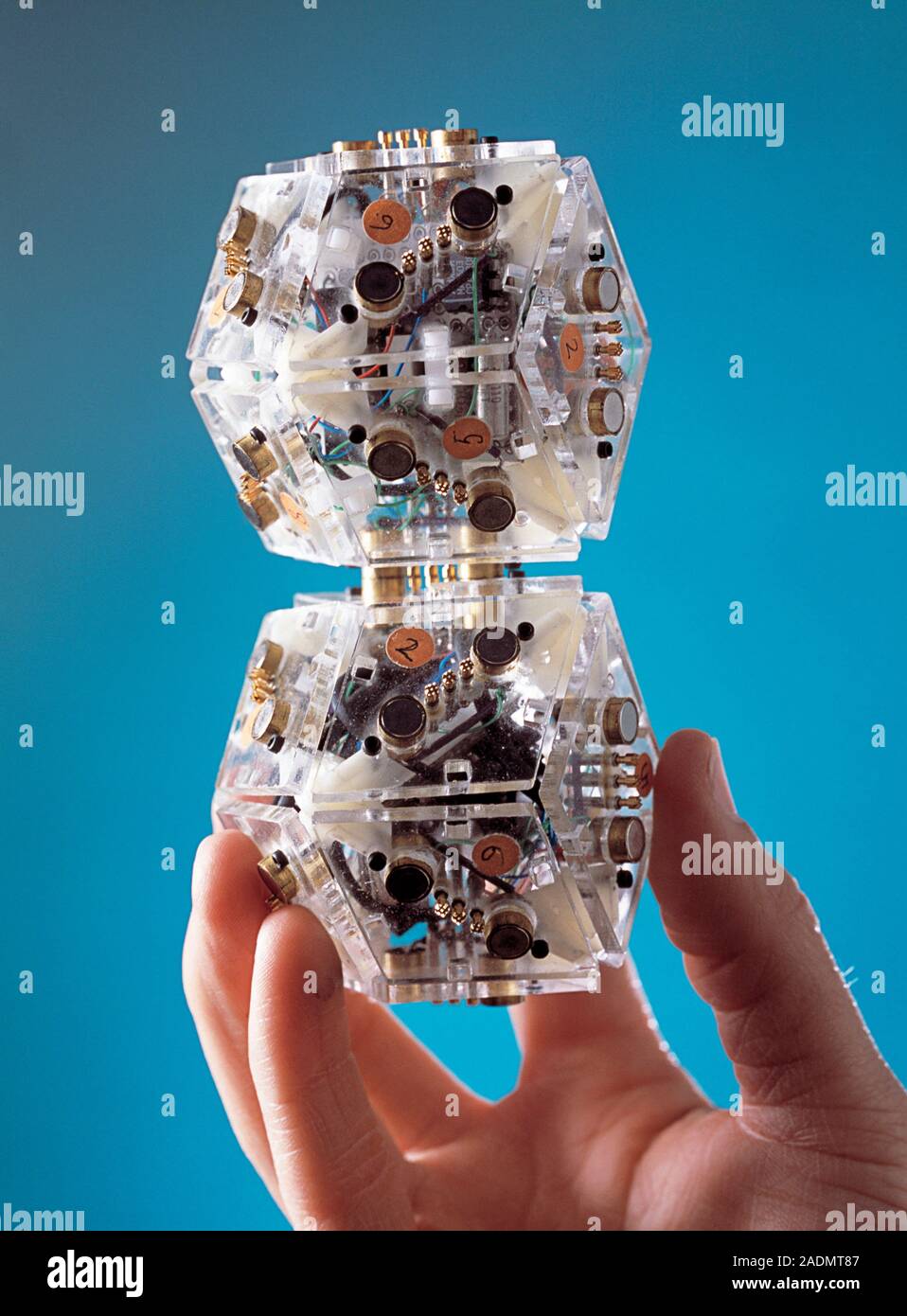 Digital Clay modules in the hand of a research scientist. The two ...