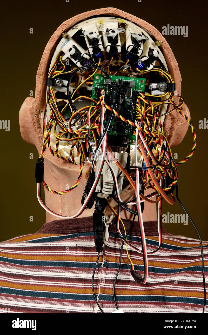 Humanoid robot head. View of circuits and wiring inside the head of ...