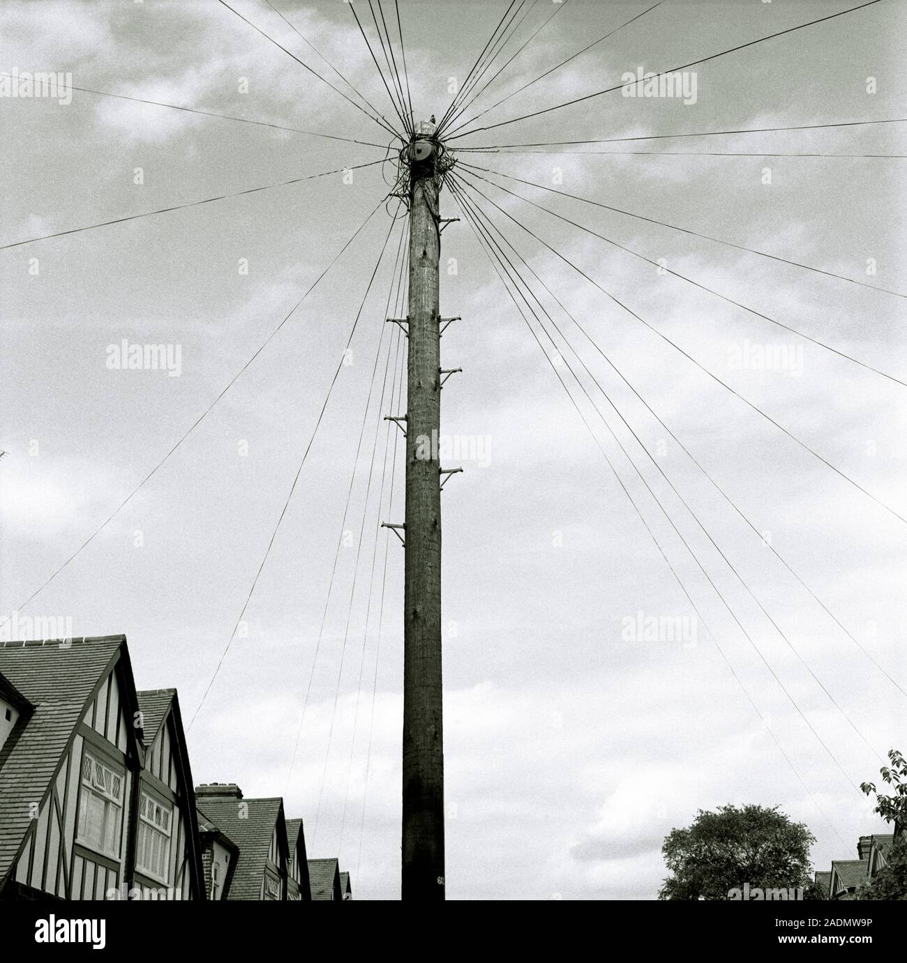 Telephone pole and wires. Each wire radiating from the pole connects a ...
