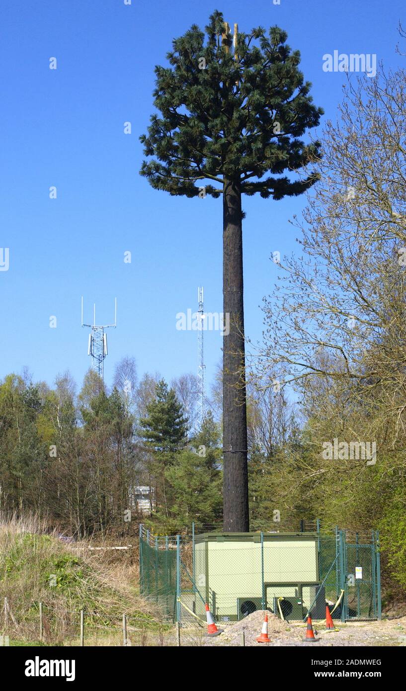 Mobile phone masts. The large tree at centre is actually a mobile phone ...
