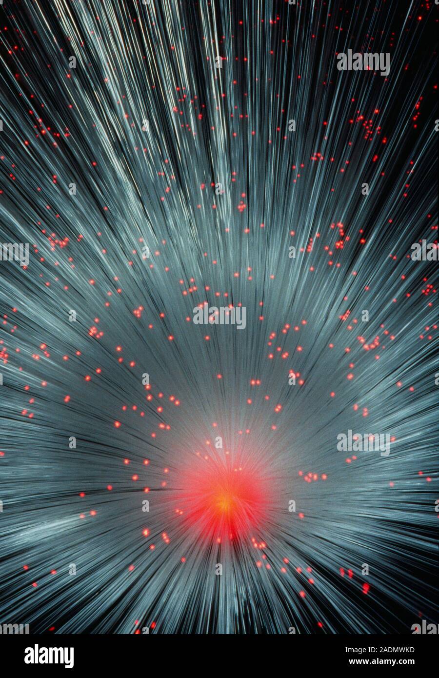 Spray of glass optical fibres conducting red light. Each delicate ...