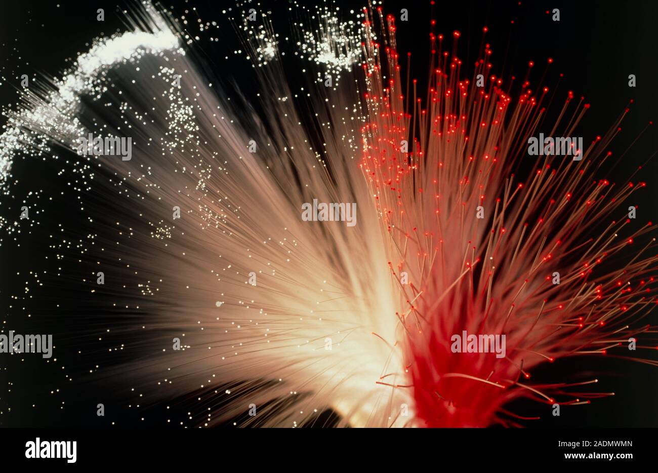 Fibre optics. Spray of fibre optic cables. Optical fibres are made from ...
