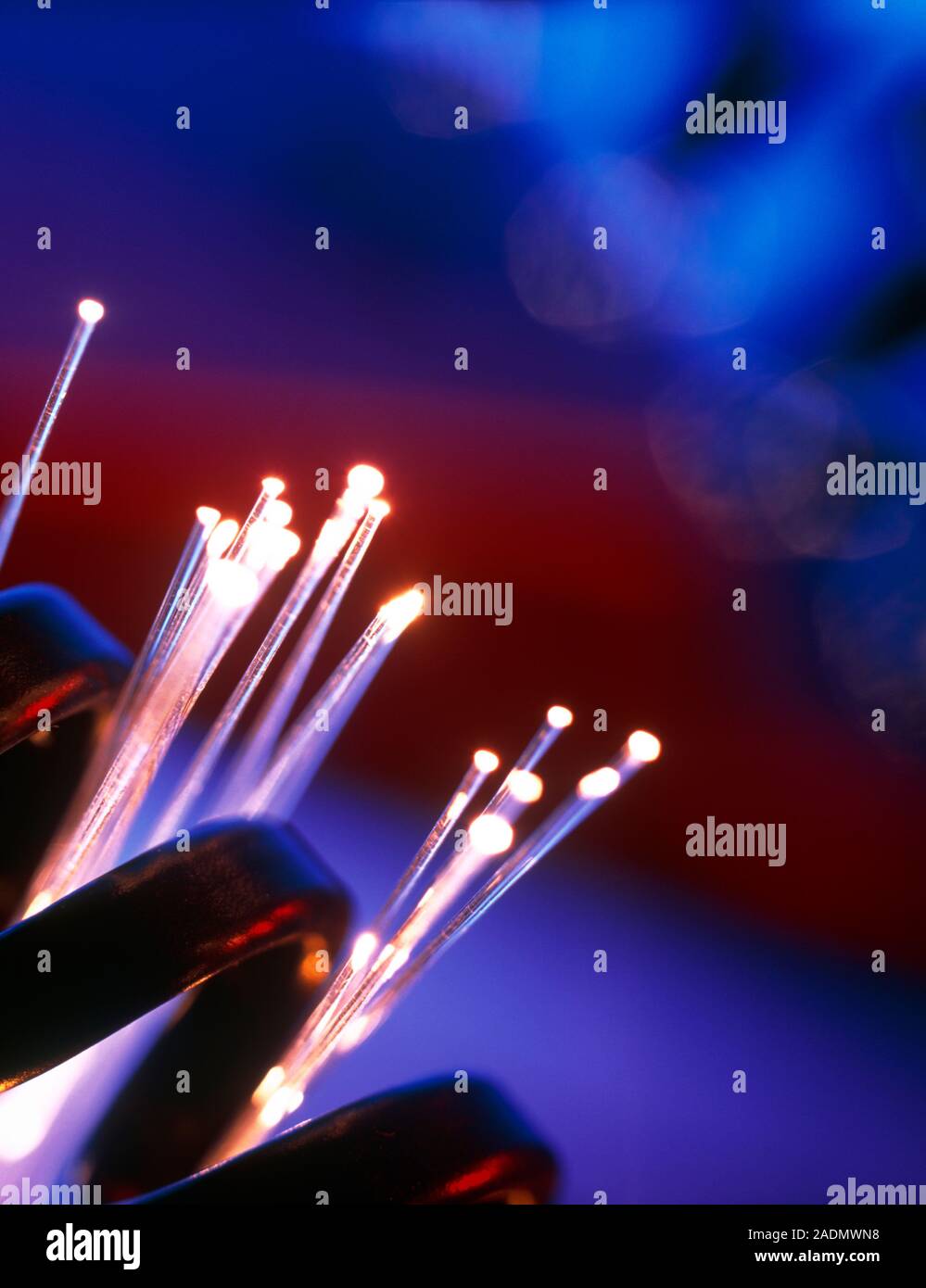 Optical fibres. A bundle of optical fibres behind a telephone handset ...