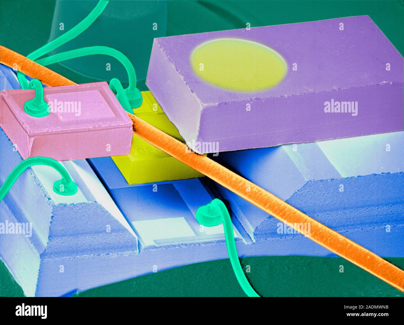 Fibre optic laser unit. Coloured scanning electron micrograph (SEM) of ...
