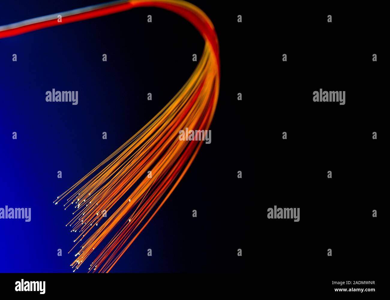 Fibre optics. View of a bundle of optical fibres which are conducting ...