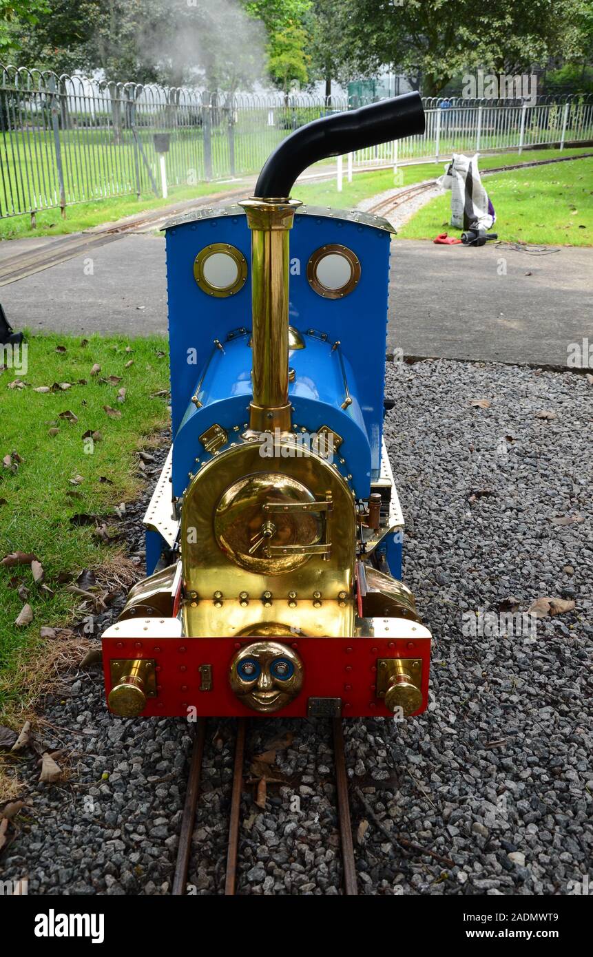 narrow gauge railway, small steam train Stock Photo - Alamy