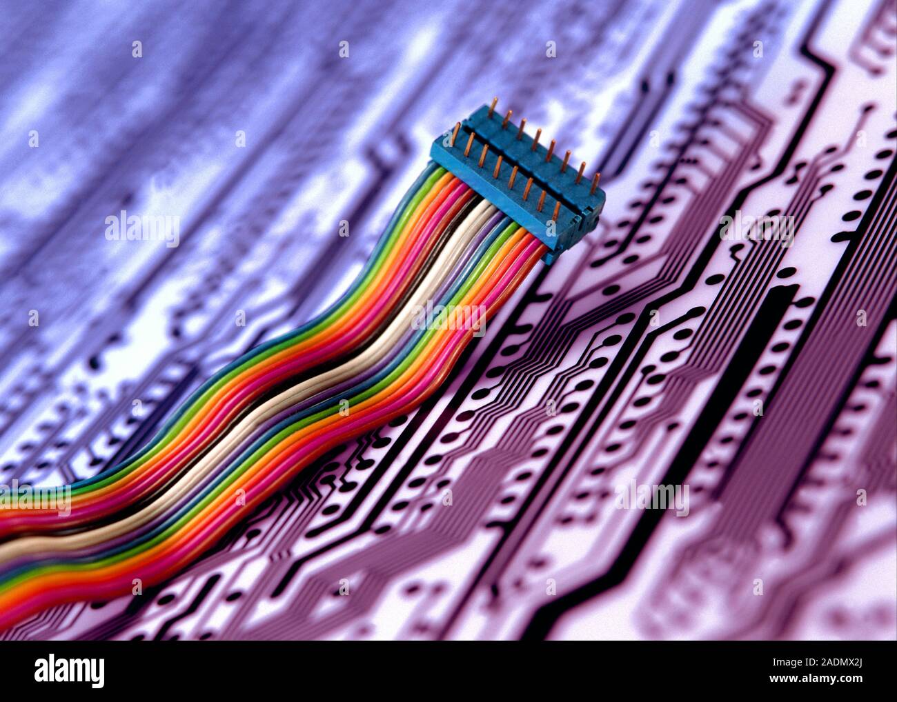 Computer ribbon wire. View of a piece of multicoloured ribbon wire ...