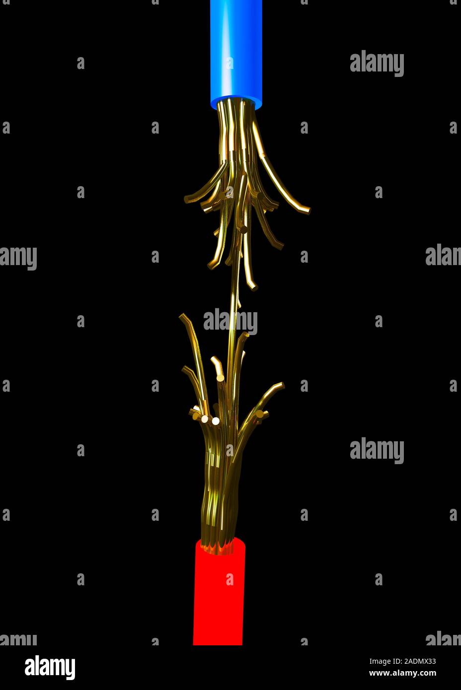 Wires being pulled apart. Computer artwork of two wires being pulled ...