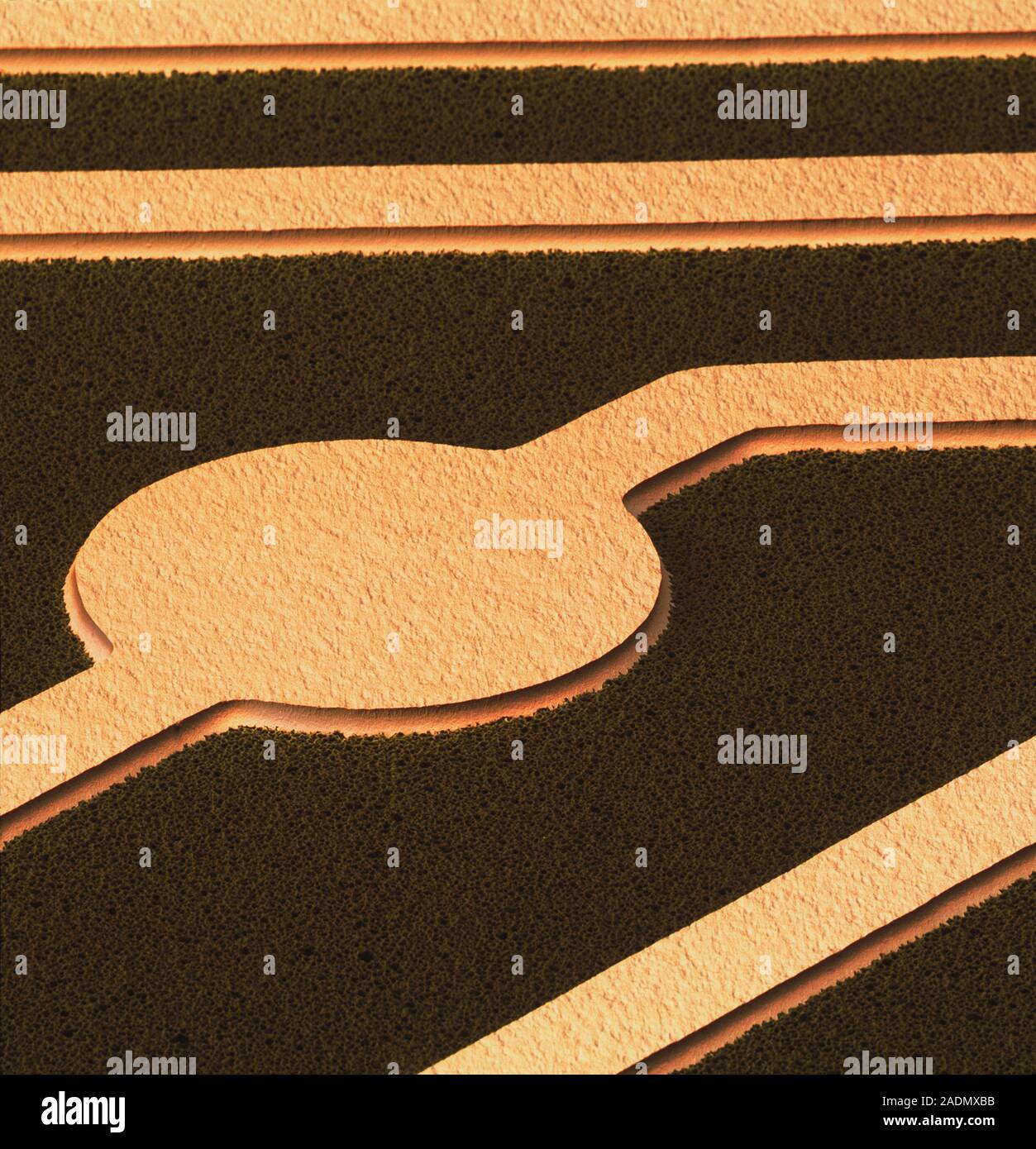 Circuit Board Coloured Scanning Electron Micrograph Sem Of Copper Paths Gold On The Surface