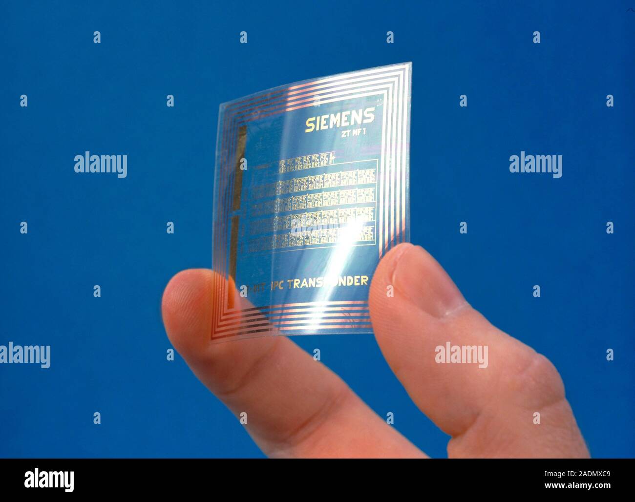 Polymer transponder. Hand holding an Integrated Plastic Circuit (IPC ...