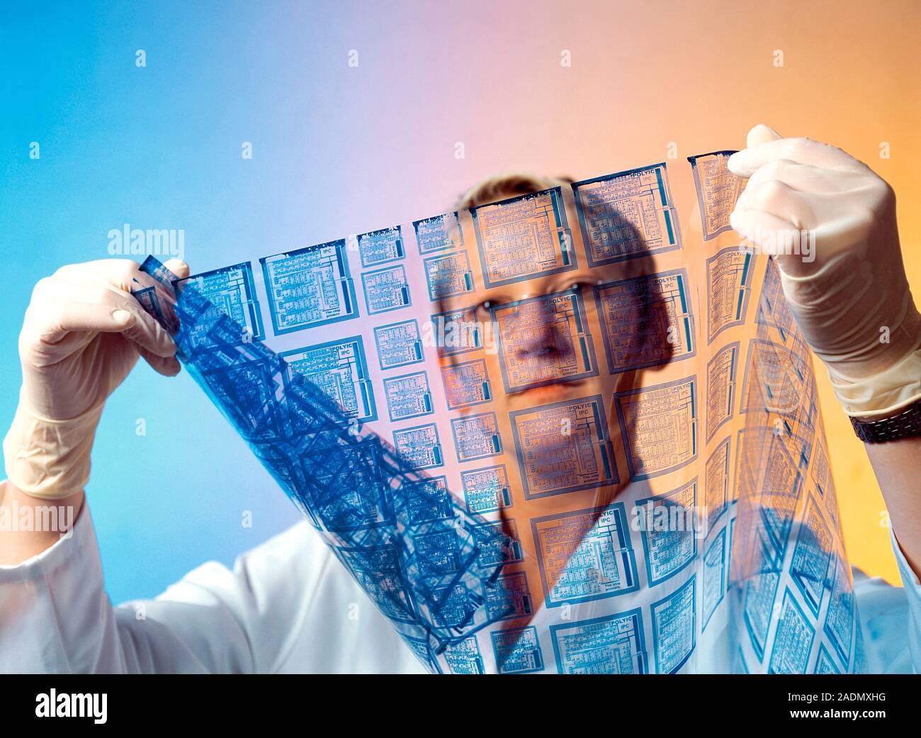 Intelligent label chip manufacture. Technician holding a sheet of radio ...