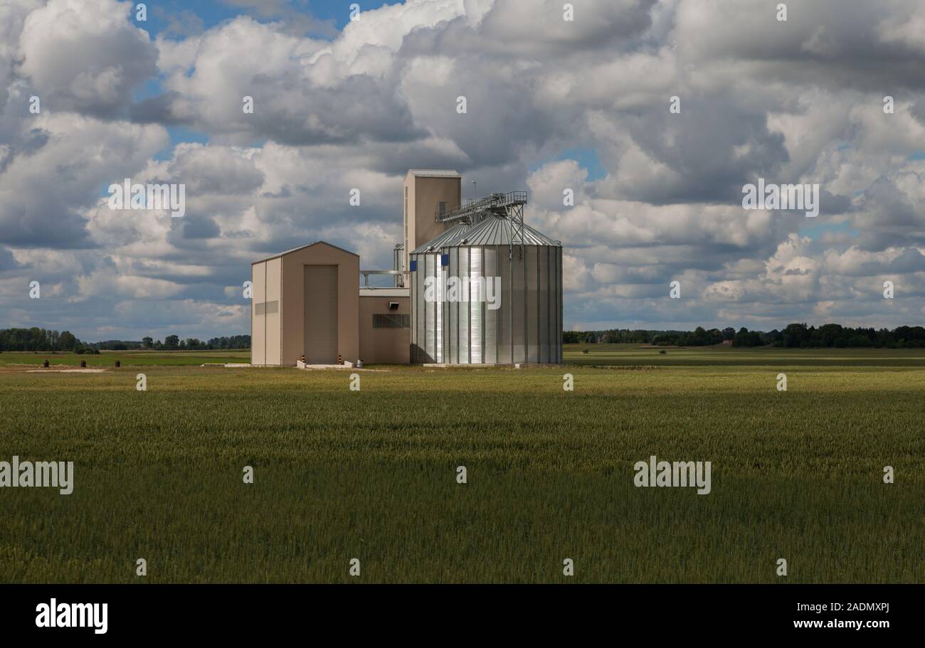 Drying up and temporary storage of grain Stock Photo - Alamy