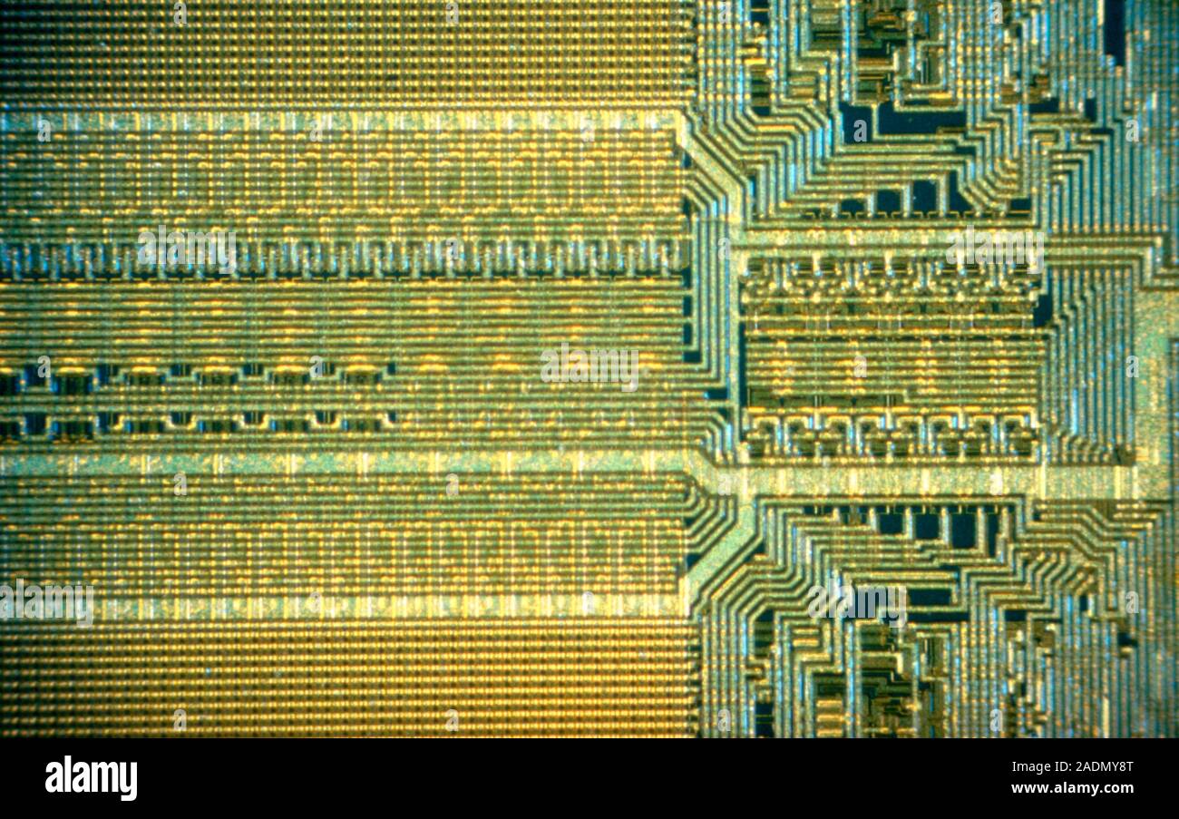 Light micrograph of part of a UV-EPROM integrated circuit or silicon ...