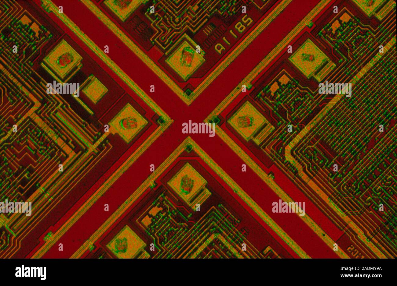 Light micrograph showing a junction (red X-shaped lanes) between four ...