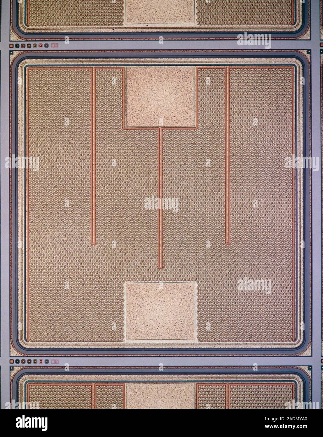 Light micrograph of the surface of a typical Ferranti field effect ...