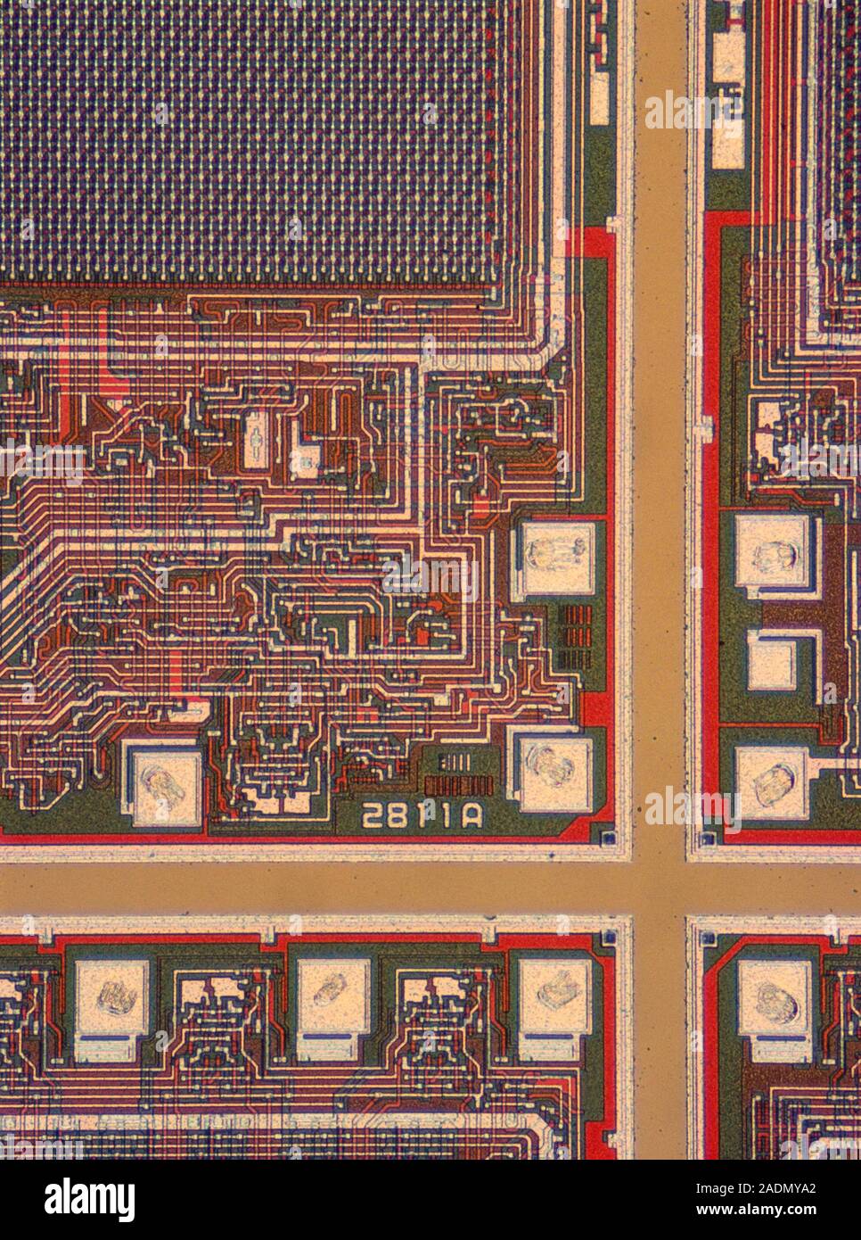Light micrograph of a wafer of 16K 4116 memory integrated circuits ...