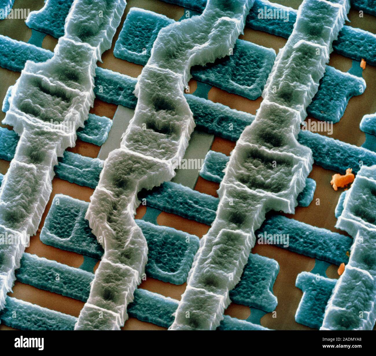 False-colour scanning electron micrograph of part of a 256-kilobyte ...