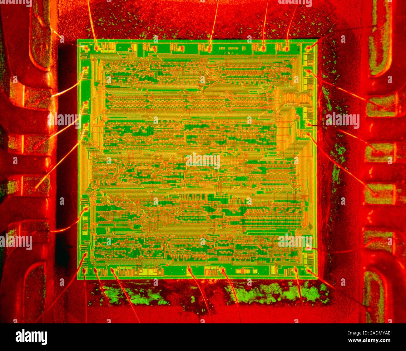 Light Micrograph Of The Surface Of An Unidentified Microprocessor Chip