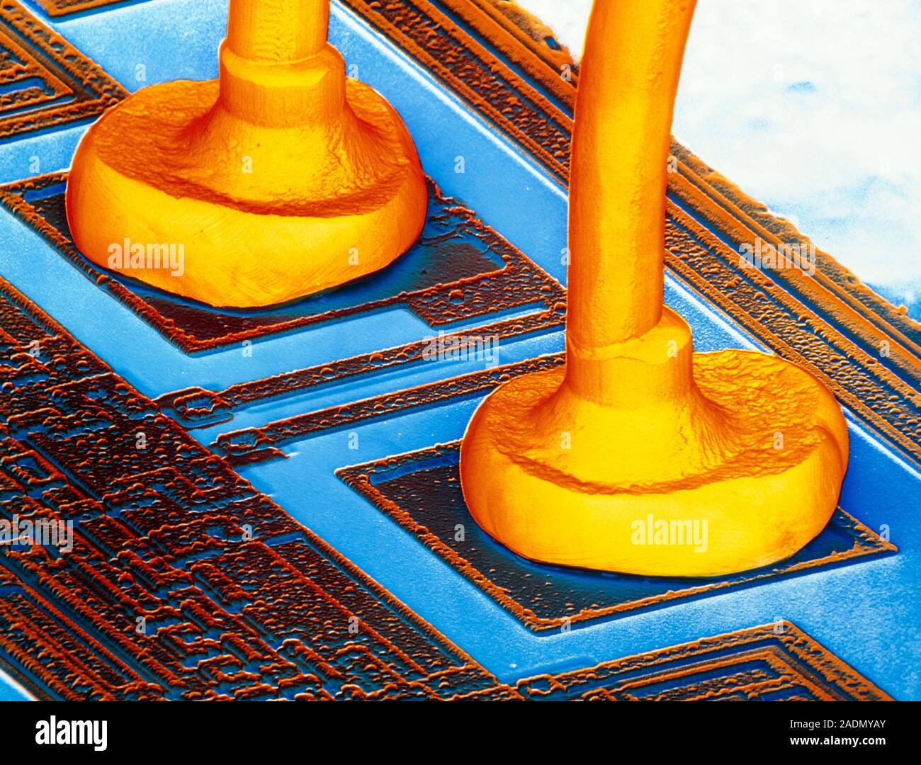 False-colour scanning electron micrograph of a TM 2716 integrated ...