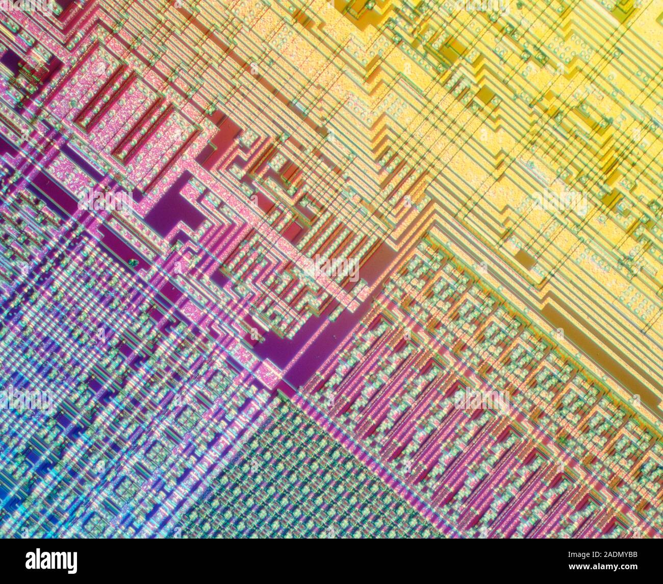 Light micrograph of the surface of an integrated circuit (chip ...