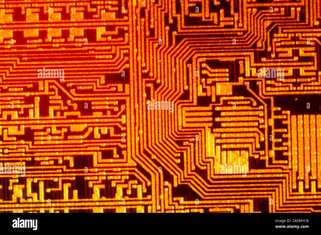 Light micrograph of a portion of a silicon wafer microchip. The rows of ...