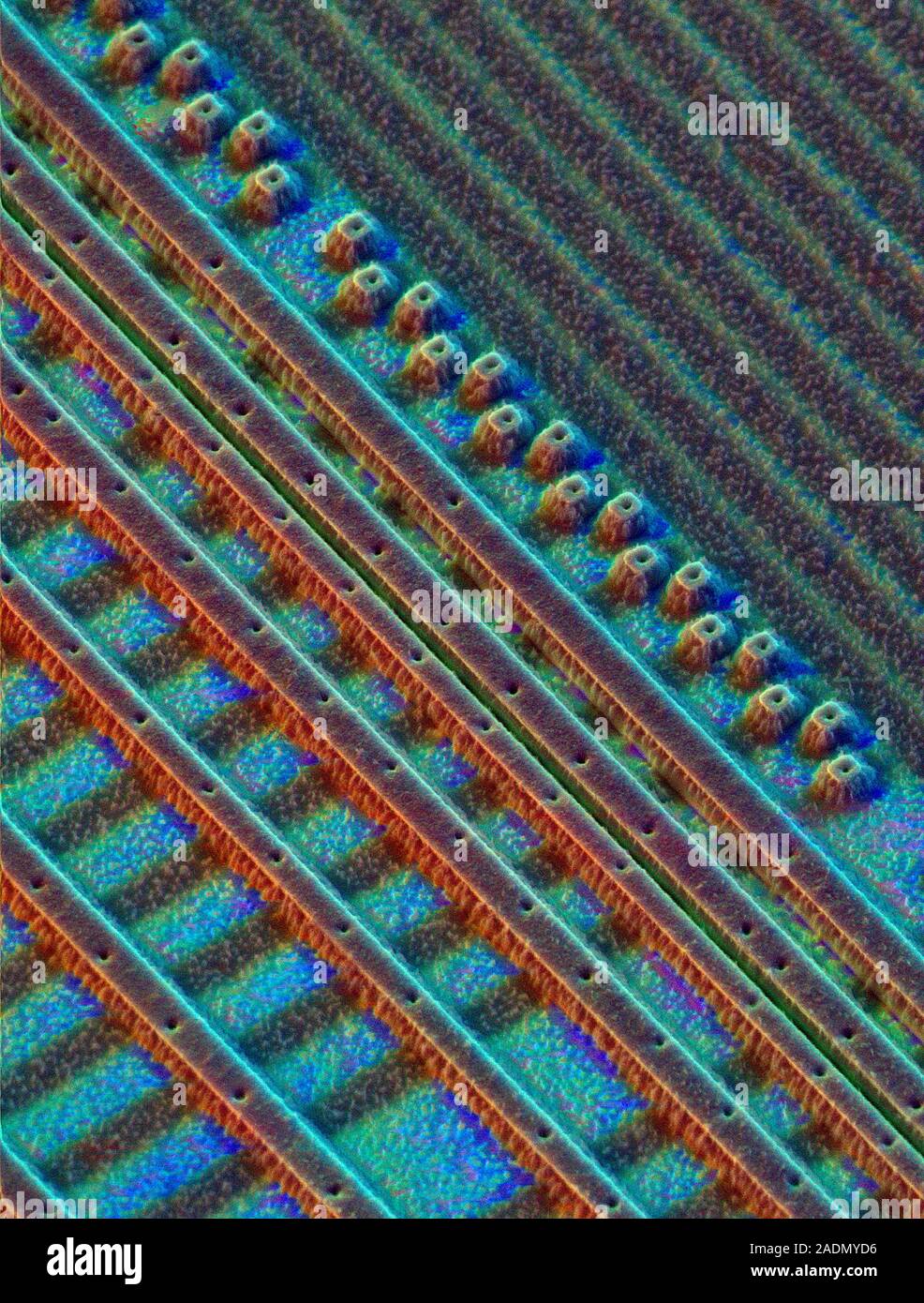 Integrated chip. Coloured Scanning Electron Micro- graph (SEM) of the ...